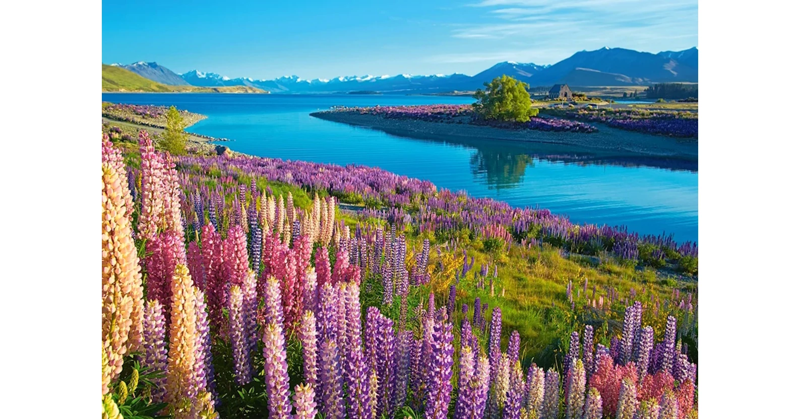 Castorland B-53896 - Tekapo-tó, Új-Zéland - 500 db-os puzzle - Puzzle ...