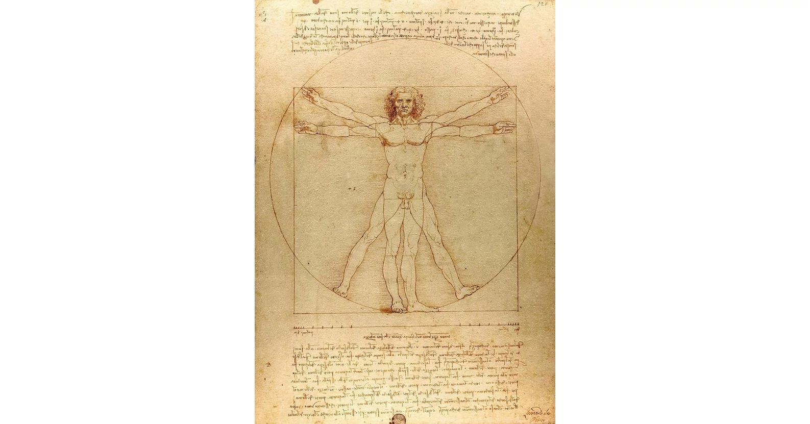 Enjoy 1557 - The Vitruvian Man - 1000 db-os puzzle - Puzzle 1000 db